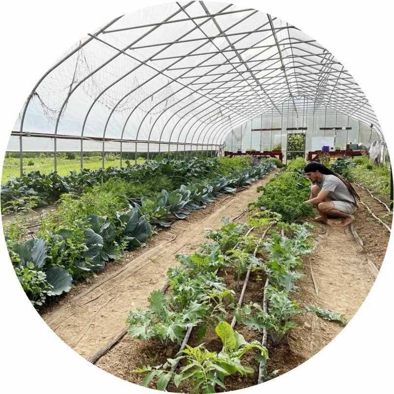 Shepherd University | Sustainable Agriculture | Tabler Farm Modules